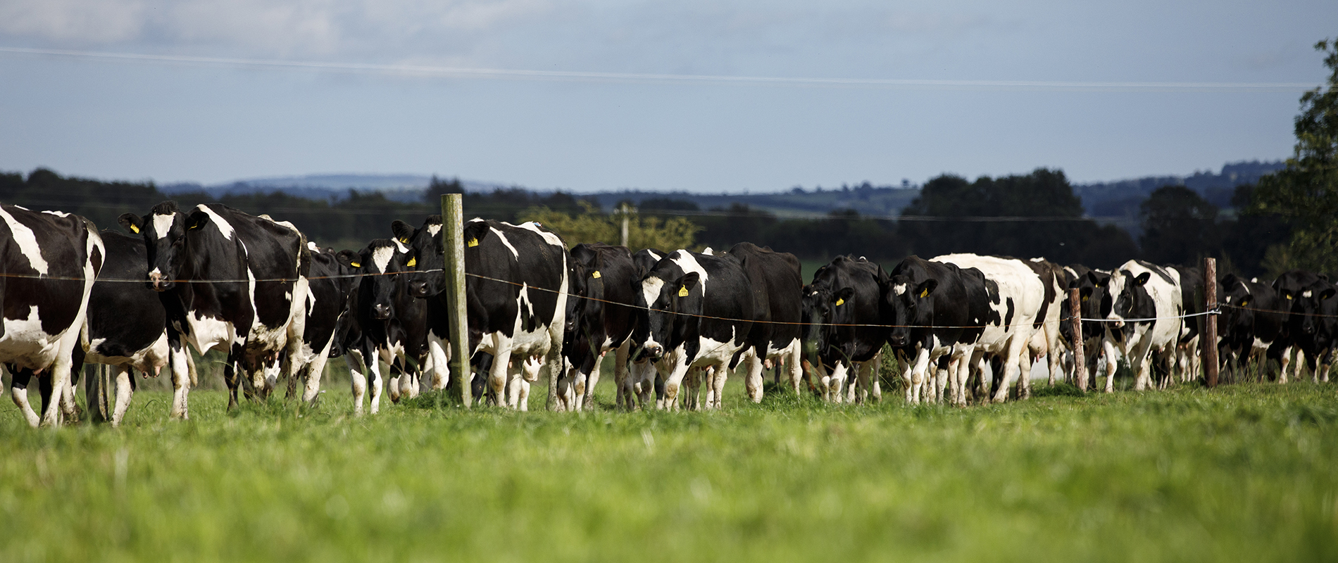 Cultivate CU | Agricultural Loans